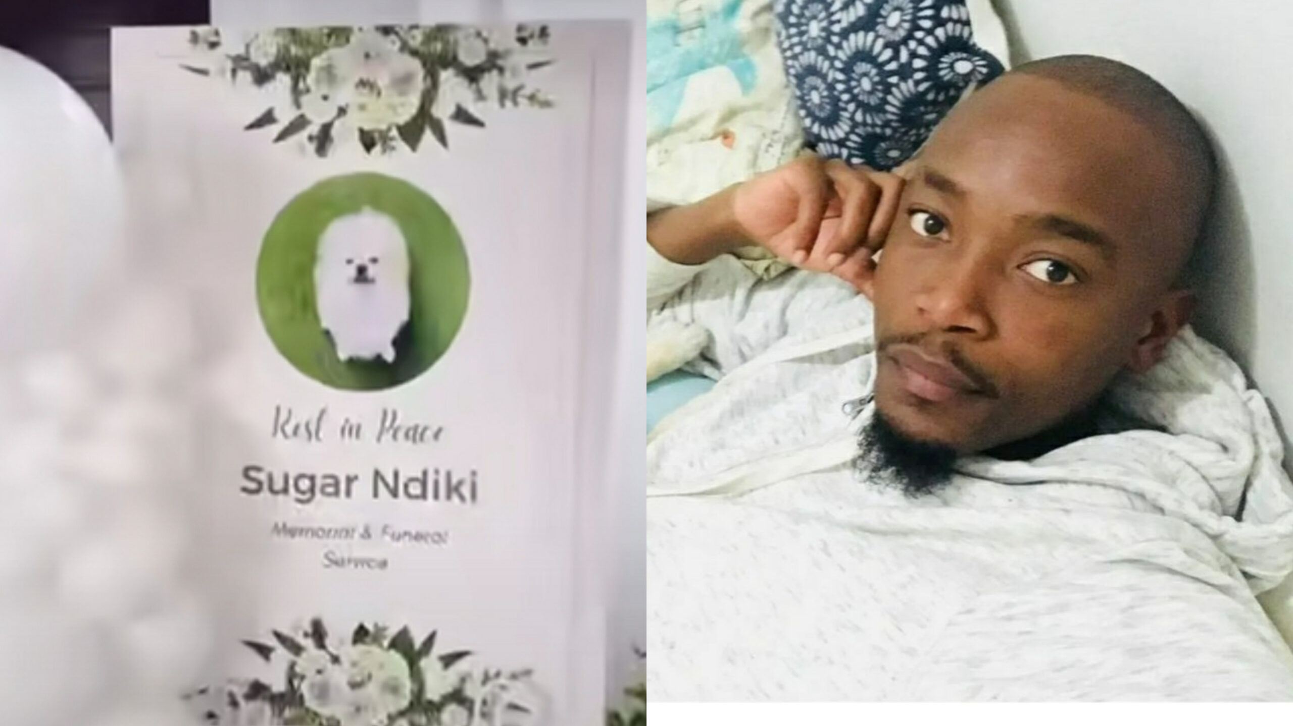 TV Presenter Moshe Ndiki Mourns His Dog In a colorful ceremony